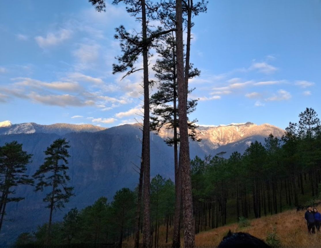 3 Night 4 Days Dong Valley Package - Desh Videsh Trip